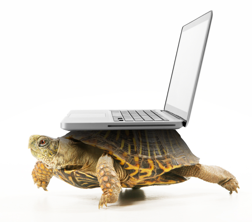 Help Potential Patients Access Help Fast by Boosting Your Web Page Load ...